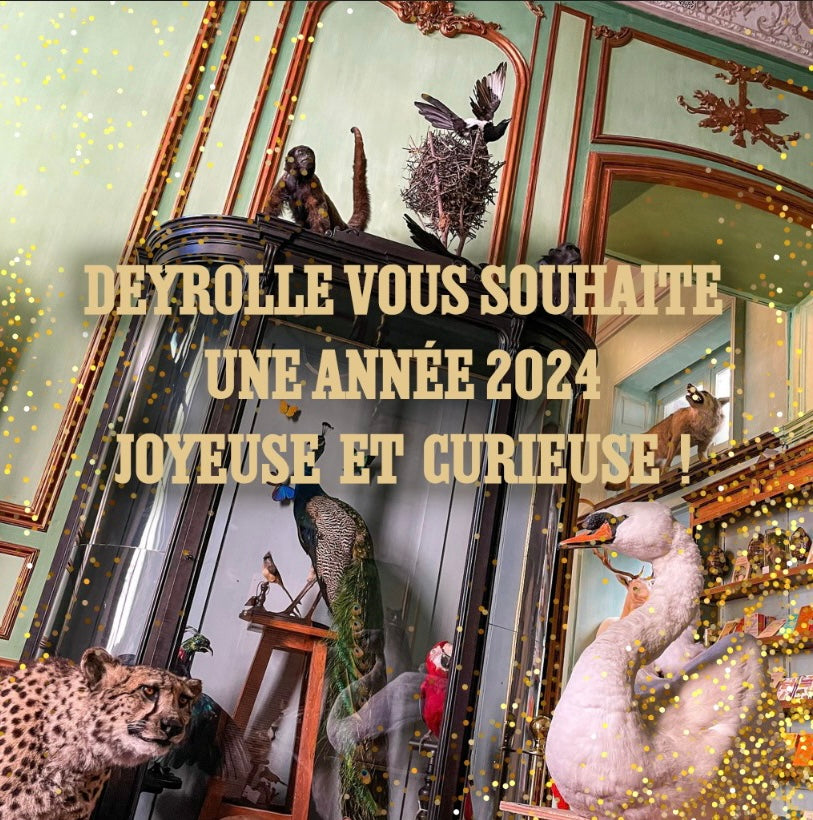 Deyrolle vous souhaite une année joyeuse et curieuse