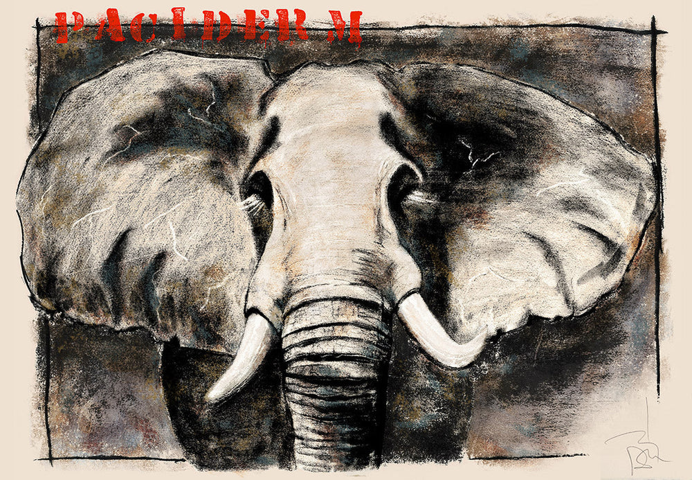 Deyrolle - Nature Art Education