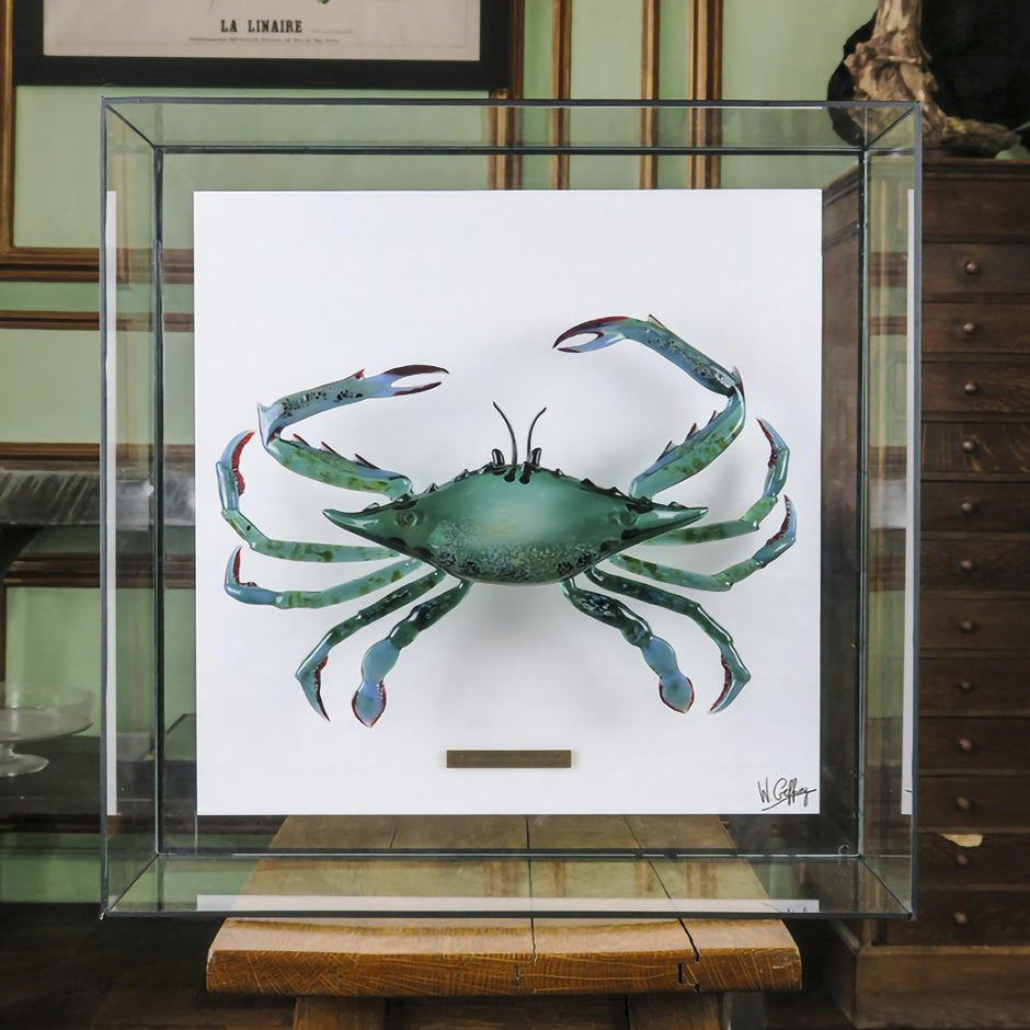 Oeuvres d'art – Deyrolle